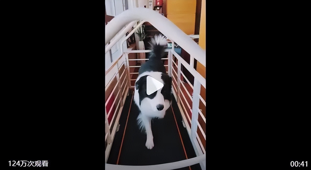 The current girlfriend shouted at his ex-wife, is this the most ...