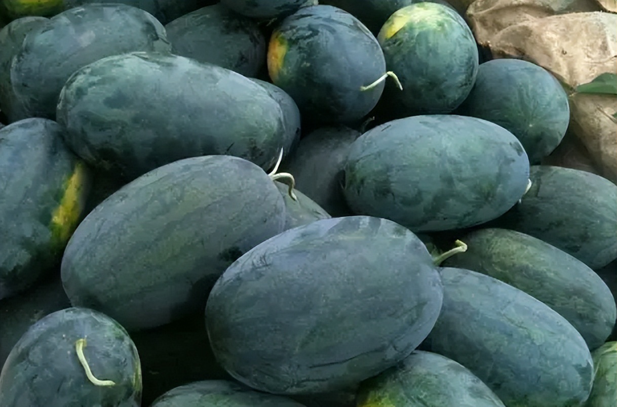 A "black watermelon" with a big taste, sweetness and storage resistance ...