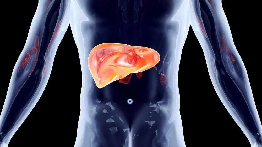 Liver function is normal, but late stage liver cancer is detected half ...