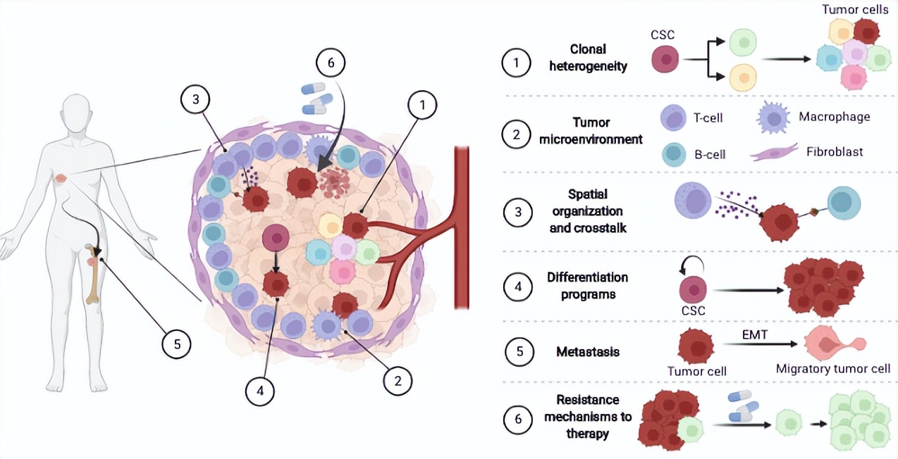 Single-cell epigenetics in cancer - iMedia