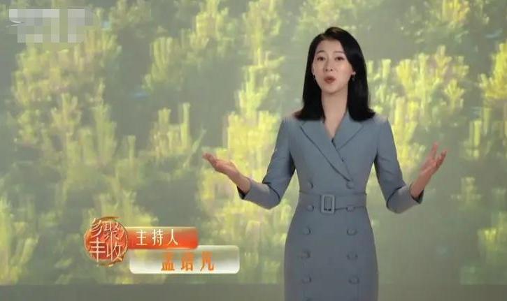The overall appearance of the host of CCTV CCTV17 has been greatly improved, 4 golden flowers ...