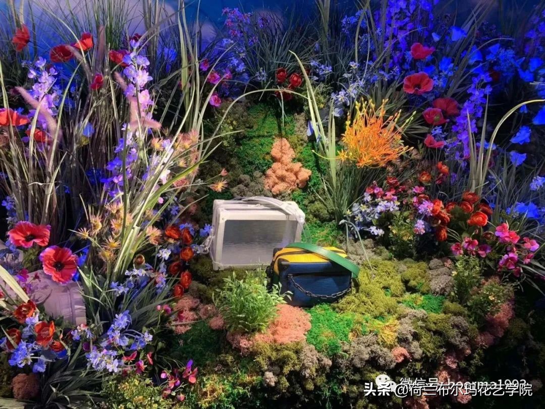 The beauty of miniature natural landscape - iNEWS