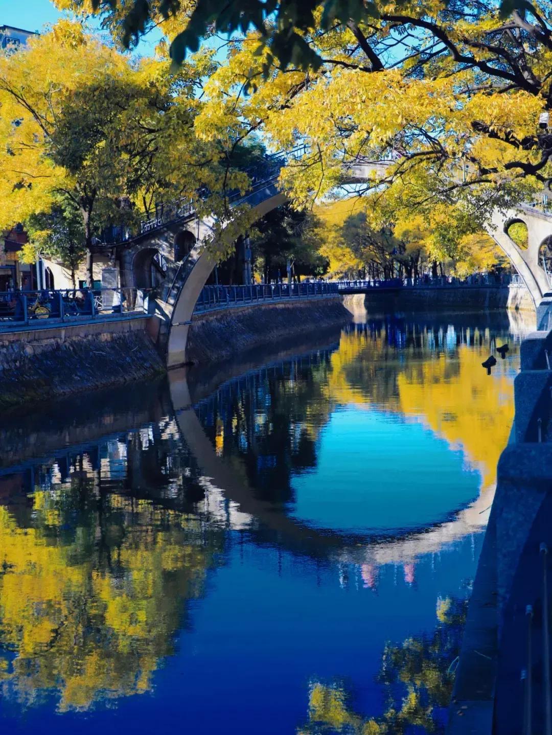 A touch of autumn is drunk in late autumn, the autumn leaves on the ...