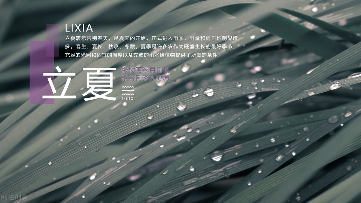 Lixia in my memory - iNEWS