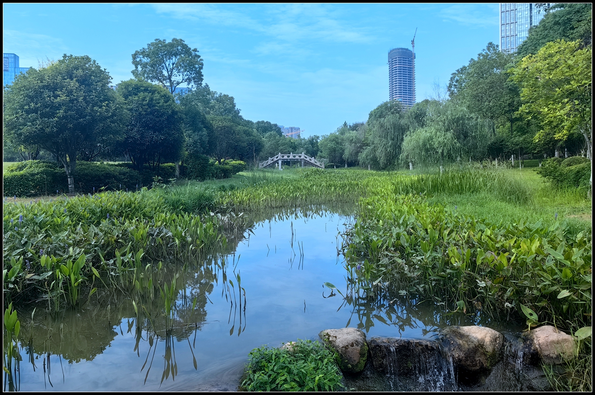 Talking about Hakka dialect as "living fossil of ancient Chinese" from ...