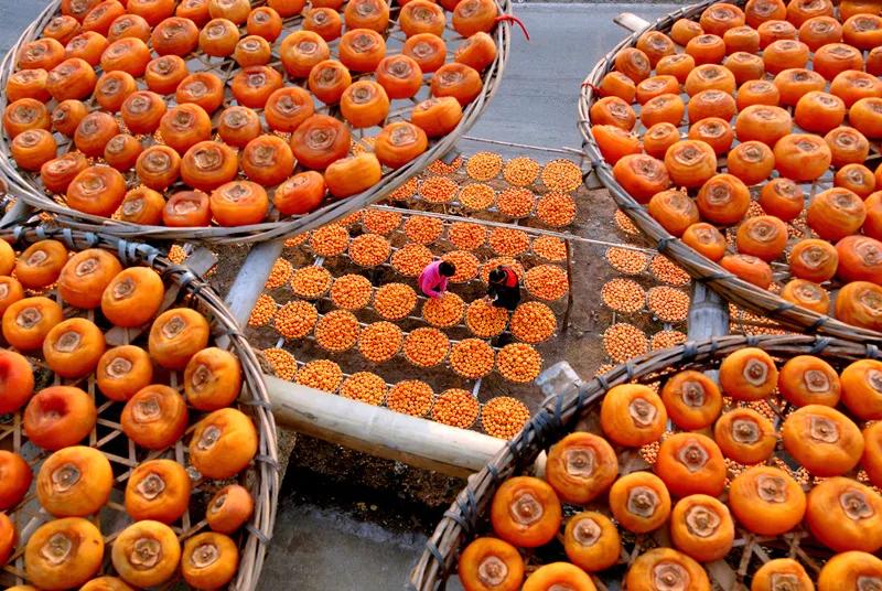 Gongcheng: "Persimmon" is unstoppable - iNEWS