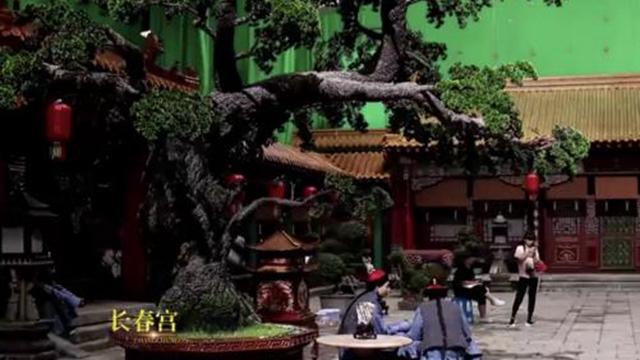 "Story of Yanxi Palace" and "Ruyi's Royal Love in the Palace" could not ...