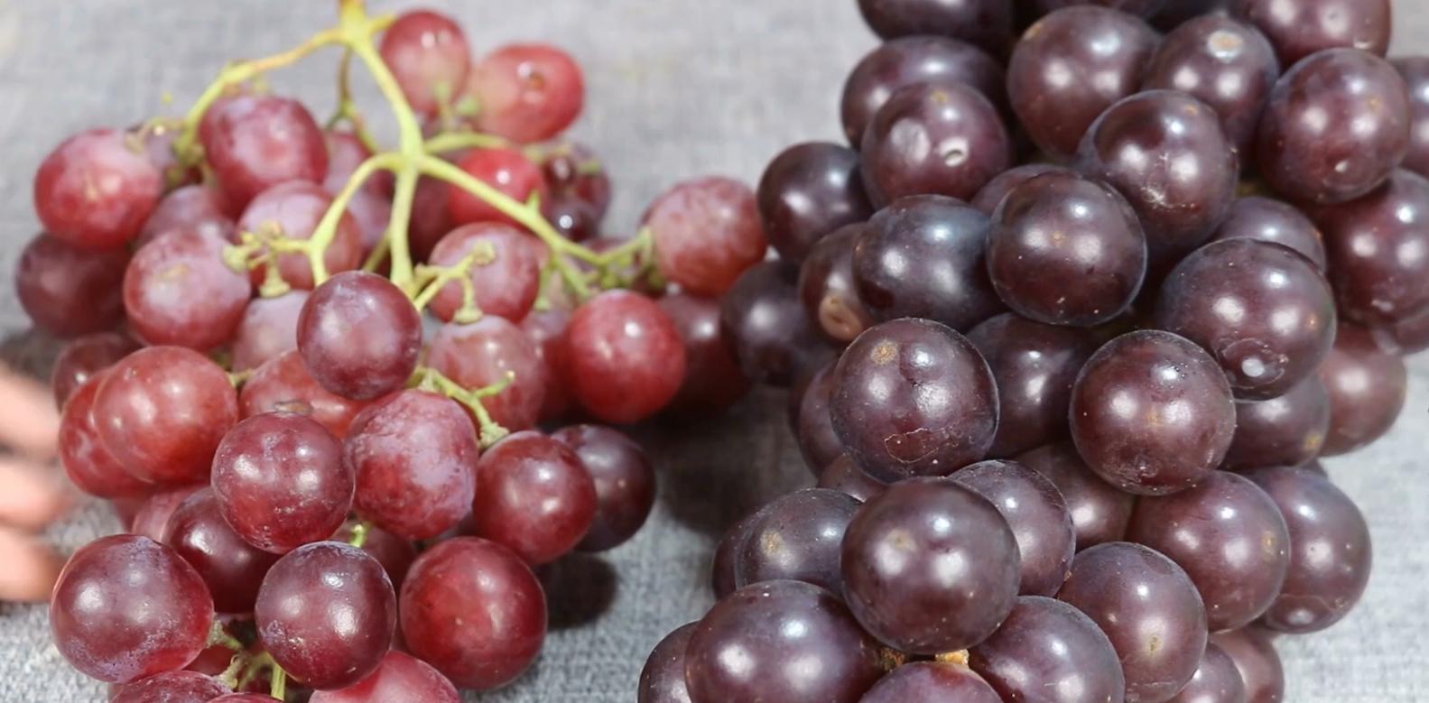 Be careful when buying grapes. There is a big difference between tight ...