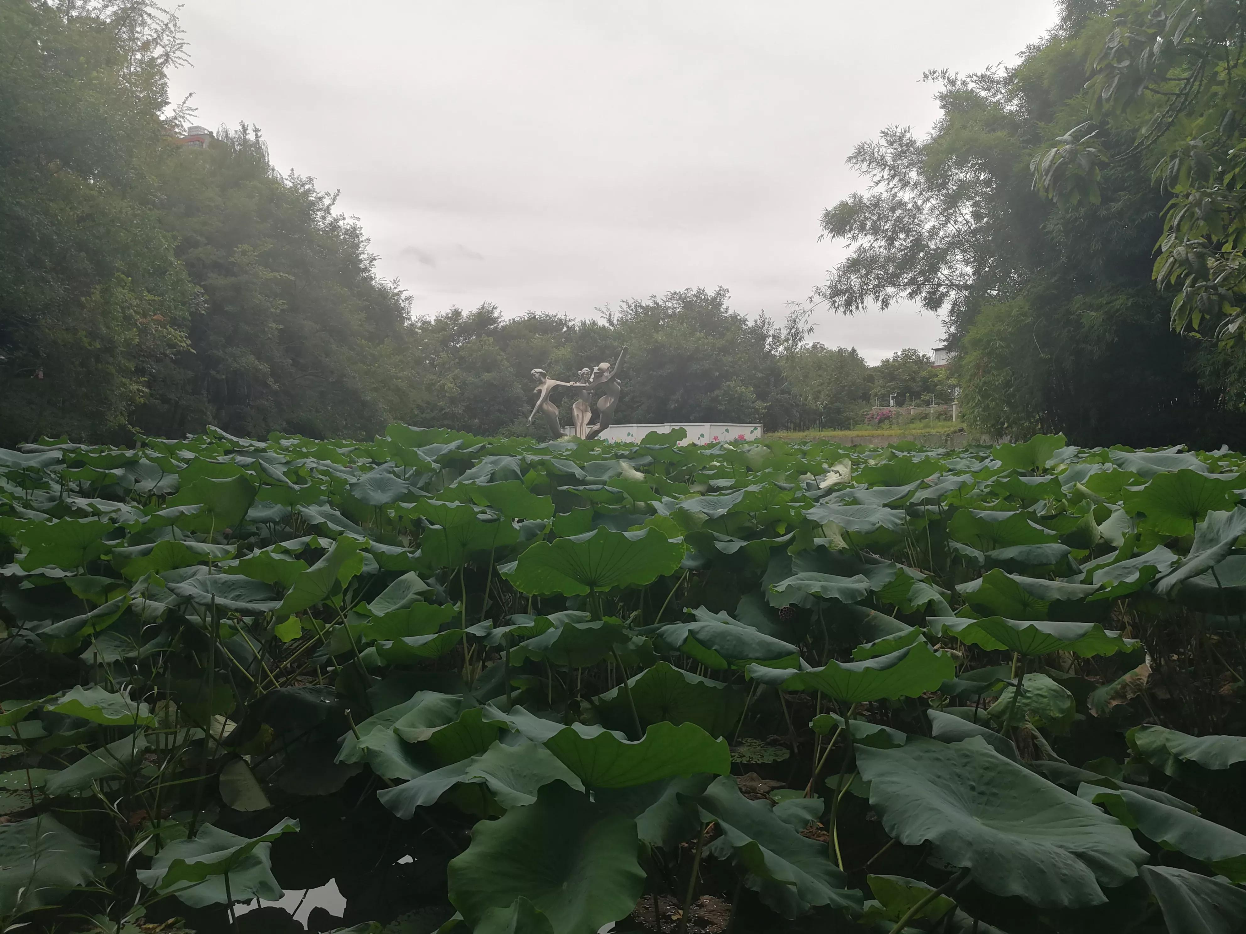 Qingbaijiang Yihuyuan Park is less crowded and beautiful - iNEWS