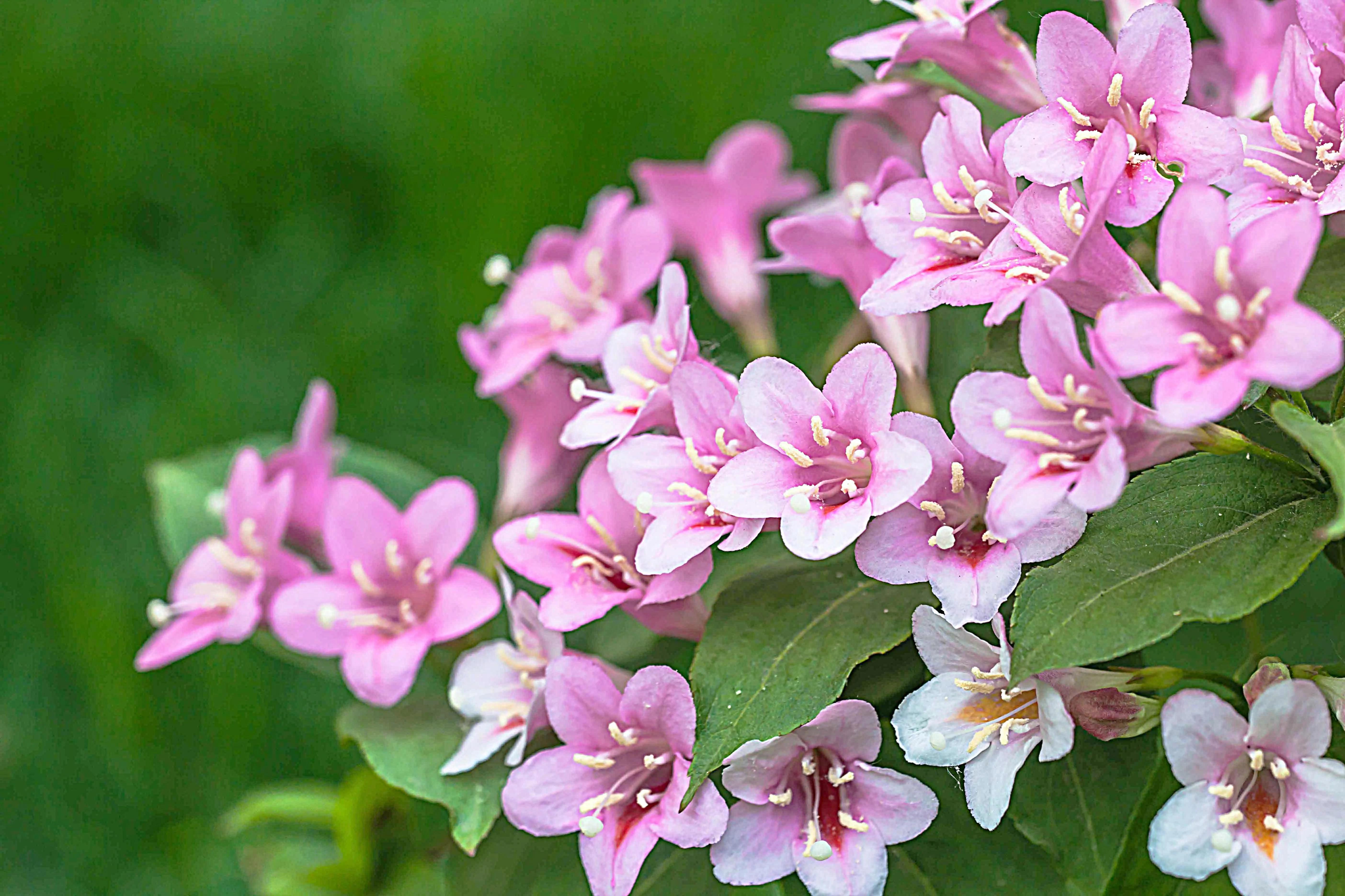 Taoism follows nature and harmony between man and nature——Thinking ...