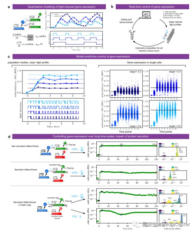 Using ReacSight to Enhance Bioreactor Arrays for Automated Measurement and Reaction Control ...