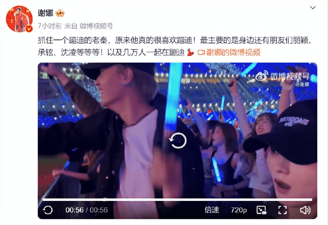 Xie Na, Zhao Liying and other friends watched Zhang Jie's concert and ...