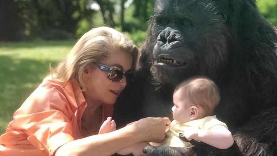 Surprising experiment revealed: the secret of human-animal hybrid life ...