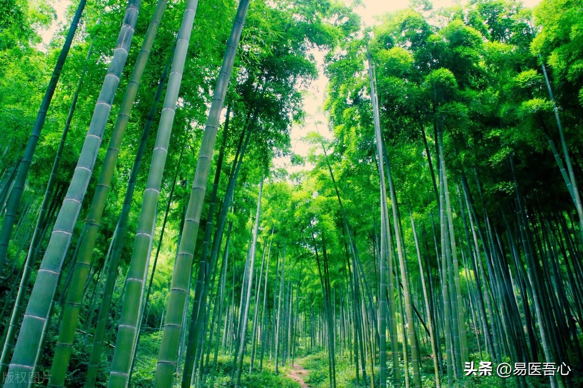 What is the meaning of emptiness and emptiness in the eyes of ...