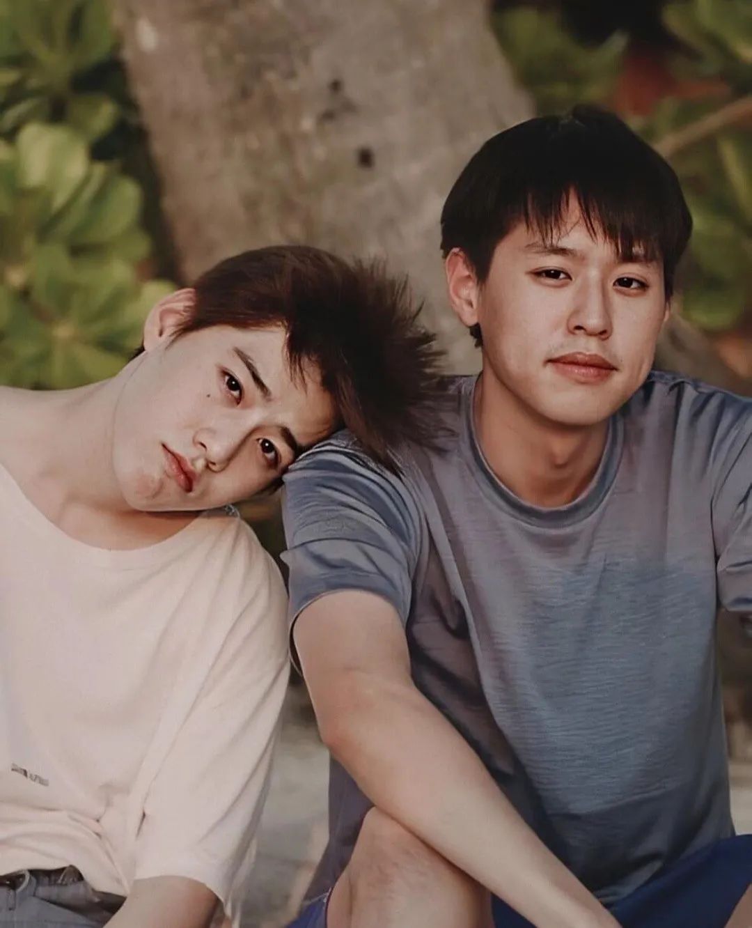 Zhang Xincheng, the CP that Qi Wei and Yang Li are all talking about, has a new move recently ...