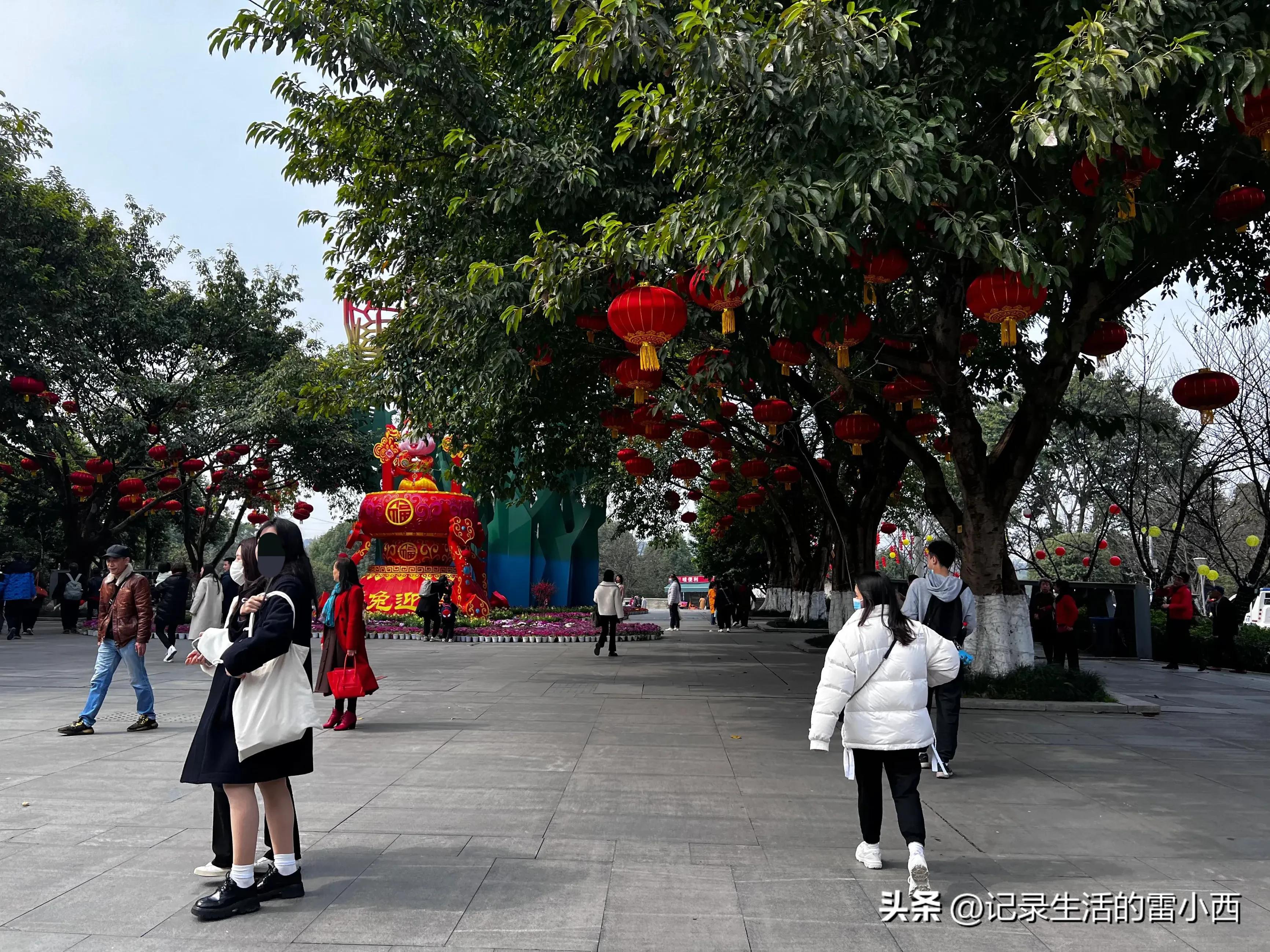 Spring flowers in Chongqing Garden Expo Garden are romantic, let's see ...