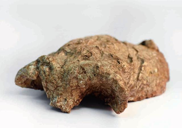 How did the first human on earth come, how did they reproduce, and what ...