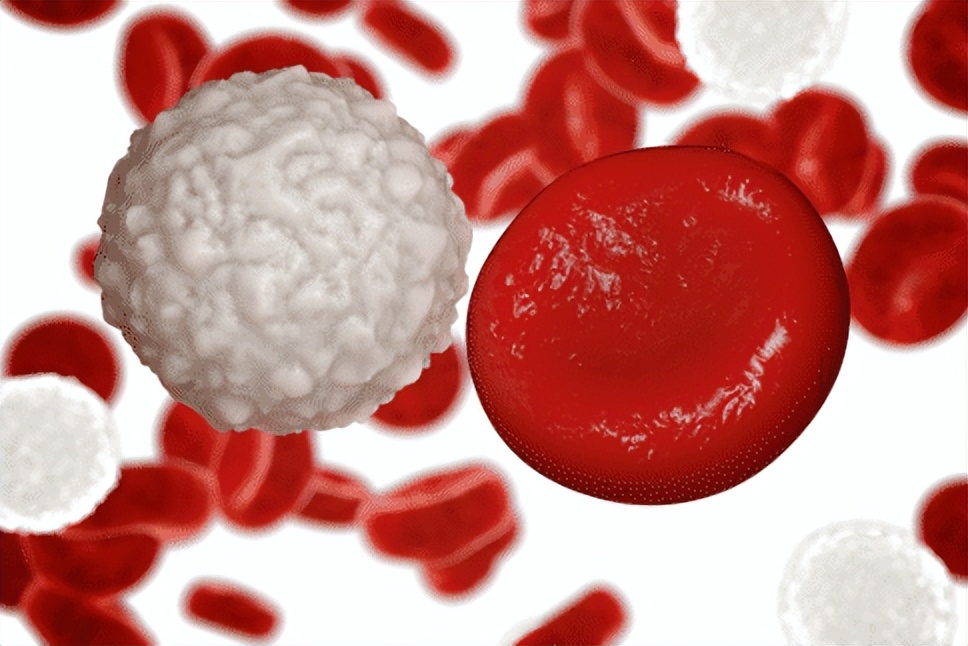 How to alleviate and prevent the exacerbation of leukemia? - iNEWS