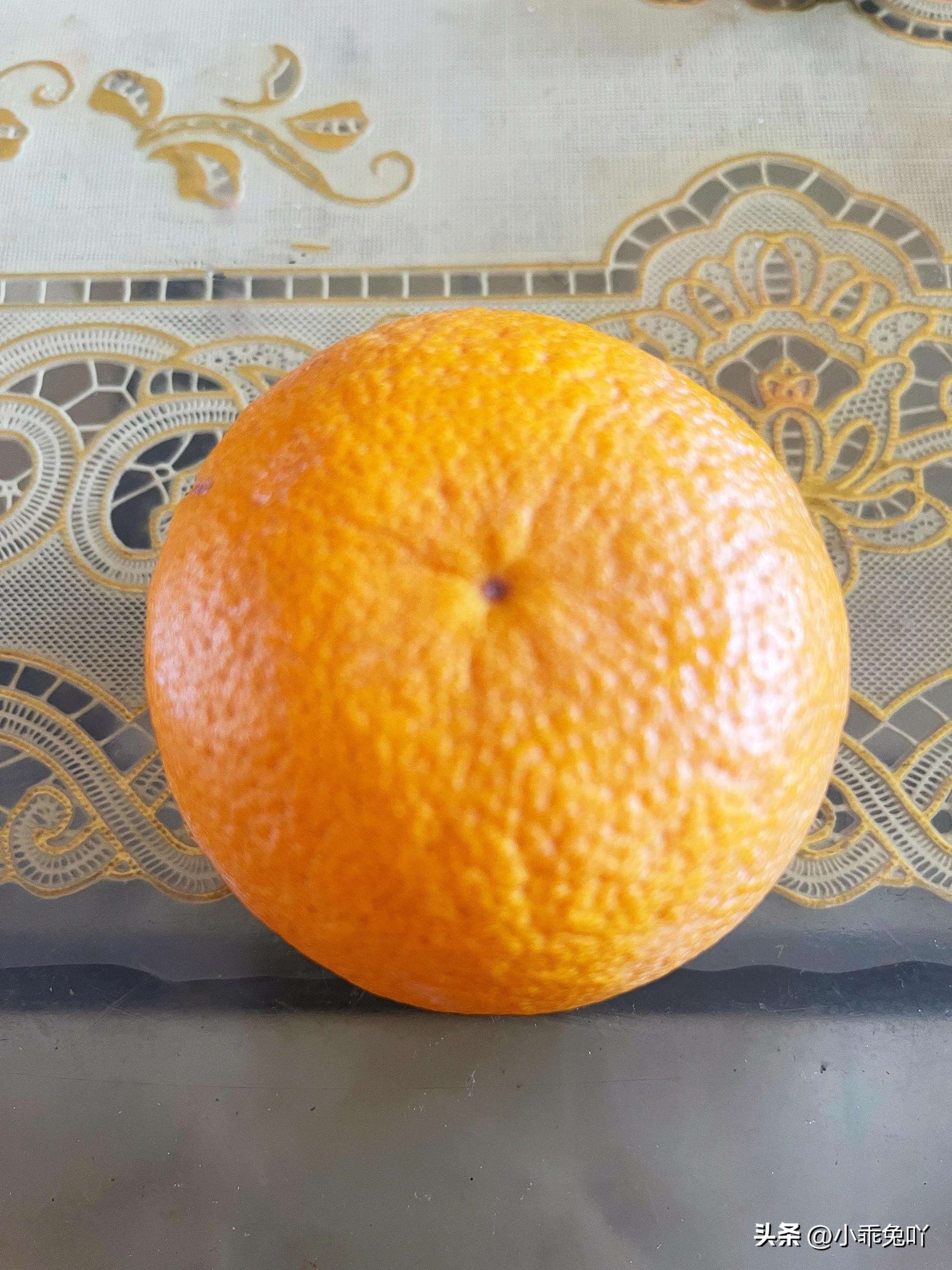 A picture to explain the growth process of a tortoise fruit - iNEWS