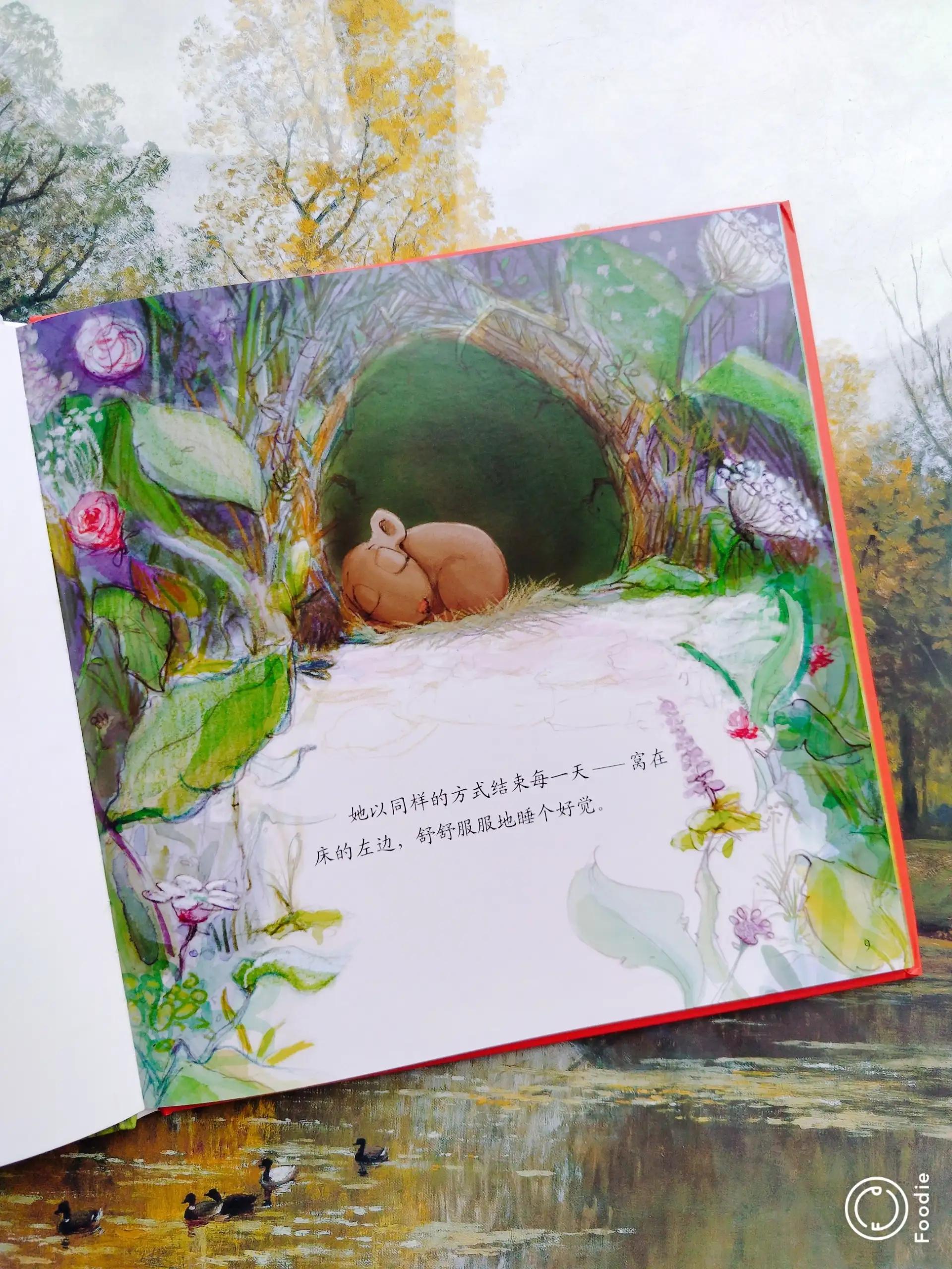 "Imperfect Series": let children learn to accept imperfection and ...