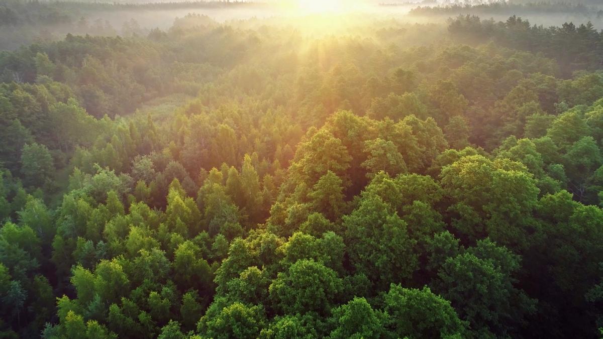 Decipher the strength of hard-core technology, and see how the image ...