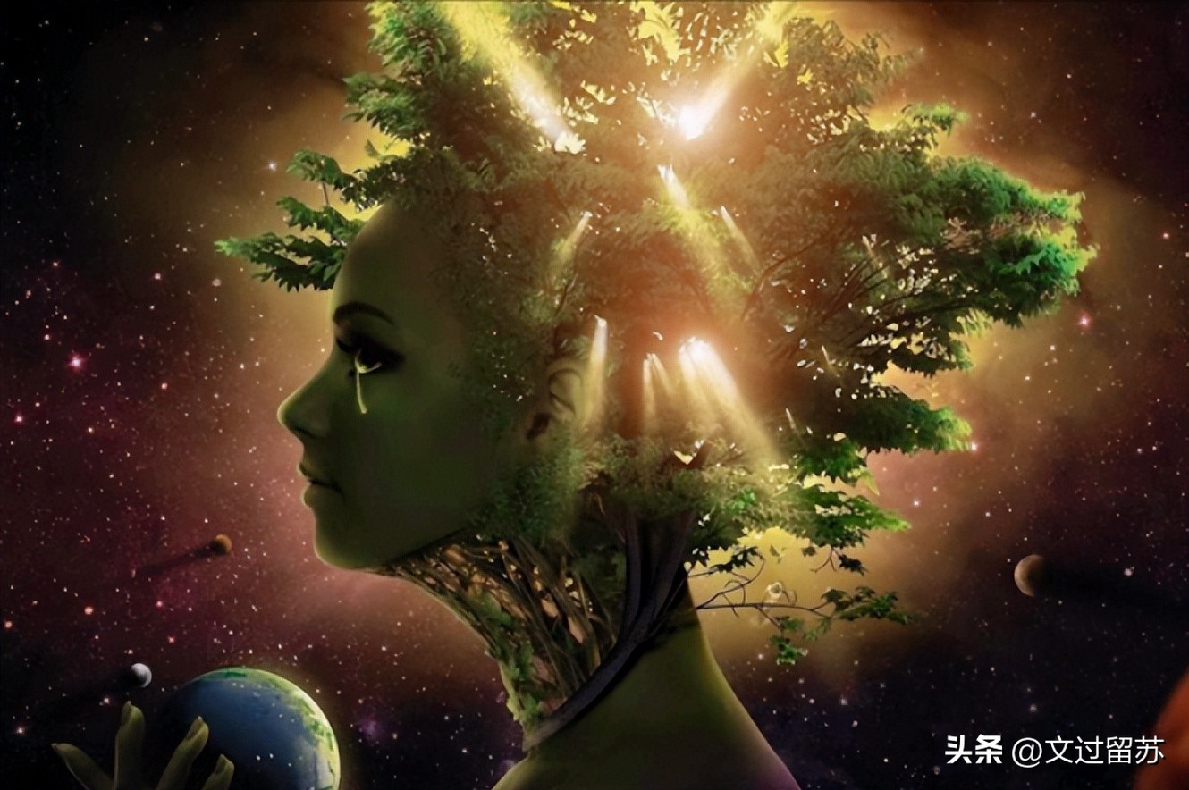 From Quantum Entanglement to the Law of Attraction, the World Shifts on ...