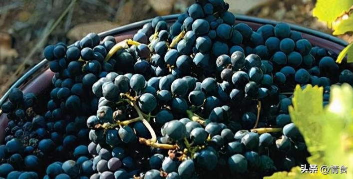 What is the status of XO in foreign wine? Why is it so popular with ...