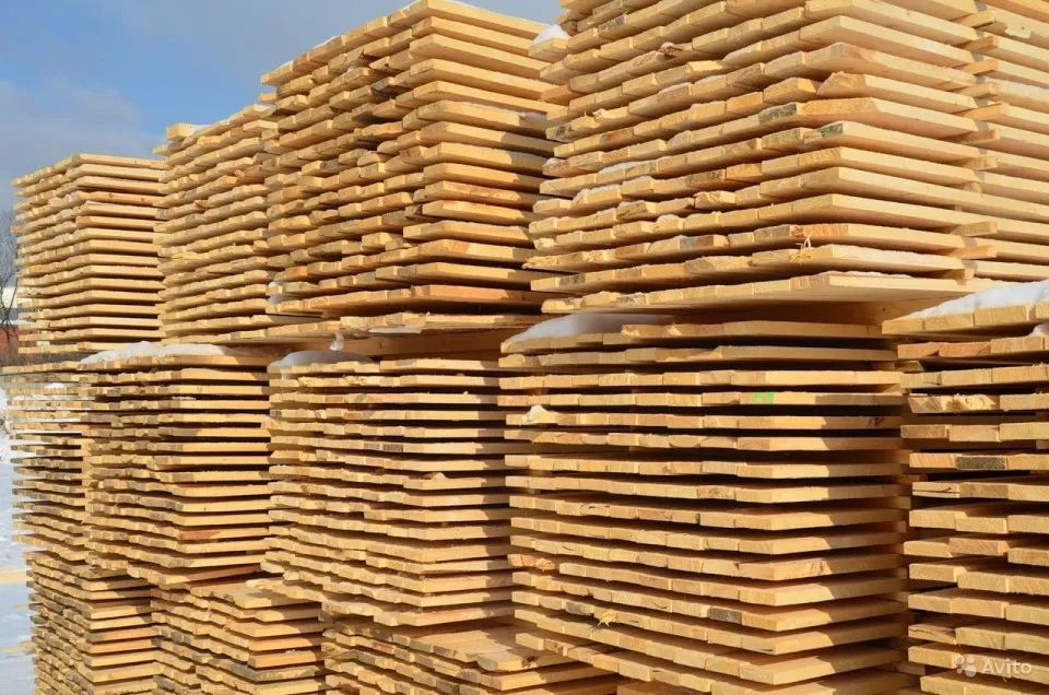 Rising Russian timber exports to China face competition from Belarusian ...