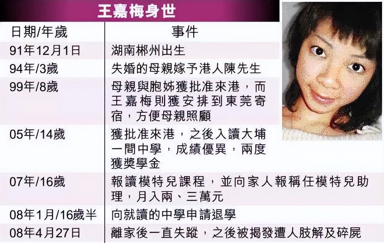 Seeking Plum Blossoms: The Case of Wang Jiamei - iMedia