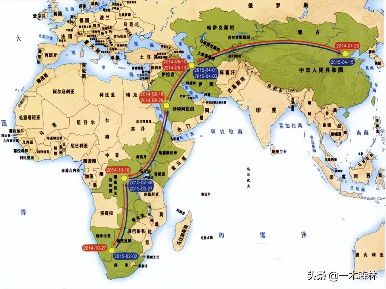 Why do swifts only fall to the ground when they die?Is it always in the ...