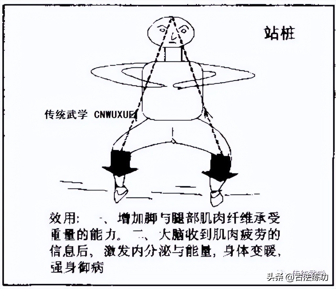 Taijiquan's root strength and stance - iNEWS