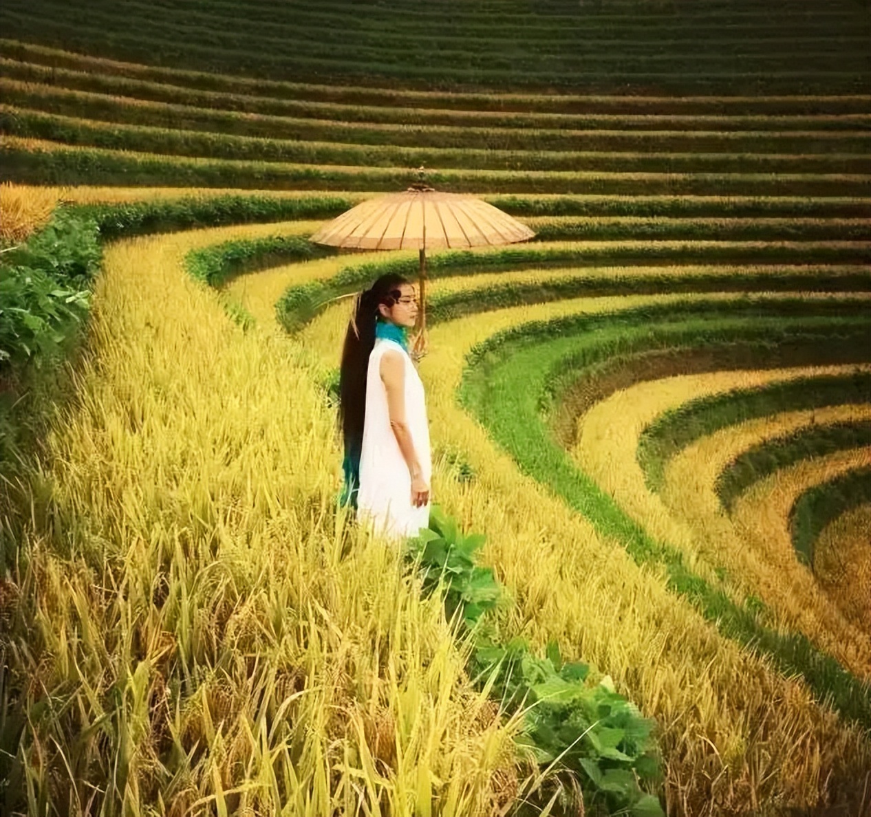 Autumn in Yunnan is like a window, it is difficult to close when you ...