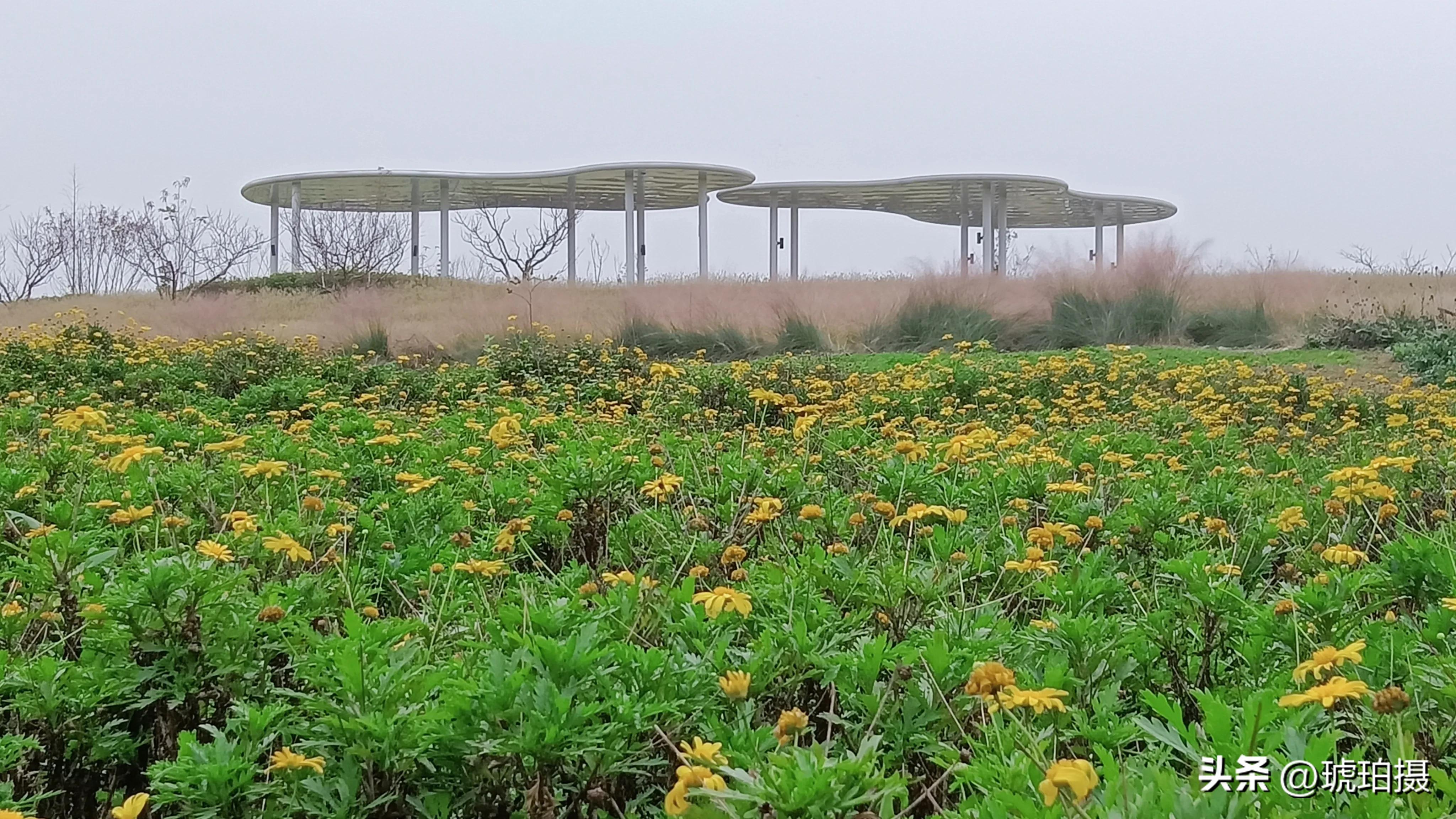 The third ride on the greenway around the city - Yuedong Cailin to ...