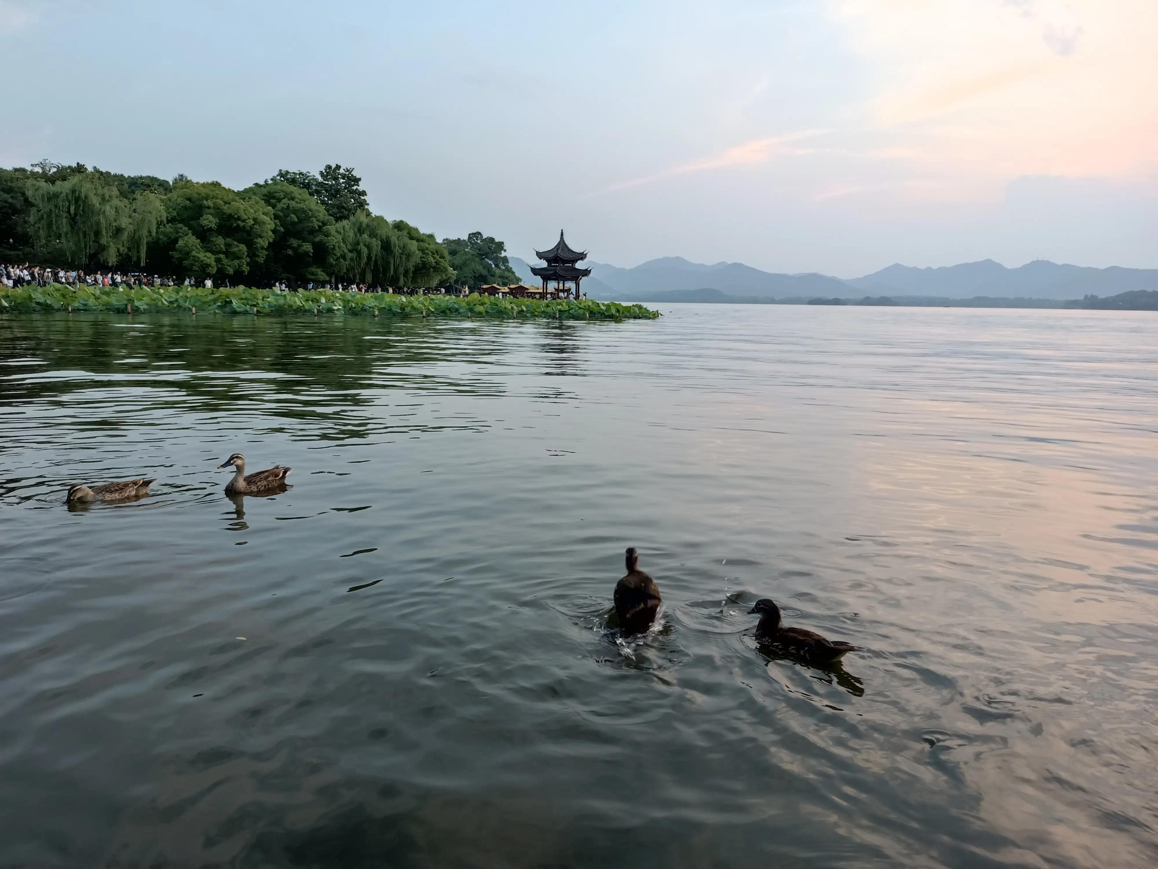 Visit Hangzhou with me - Meixi Lake in the sunset - iNEWS