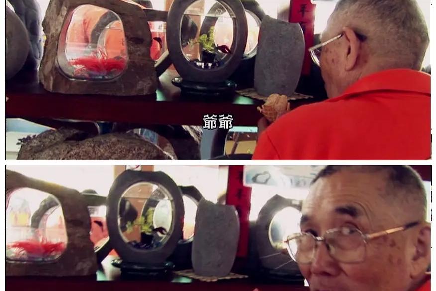 Through narration in two aspects, the main artistic value of the ...