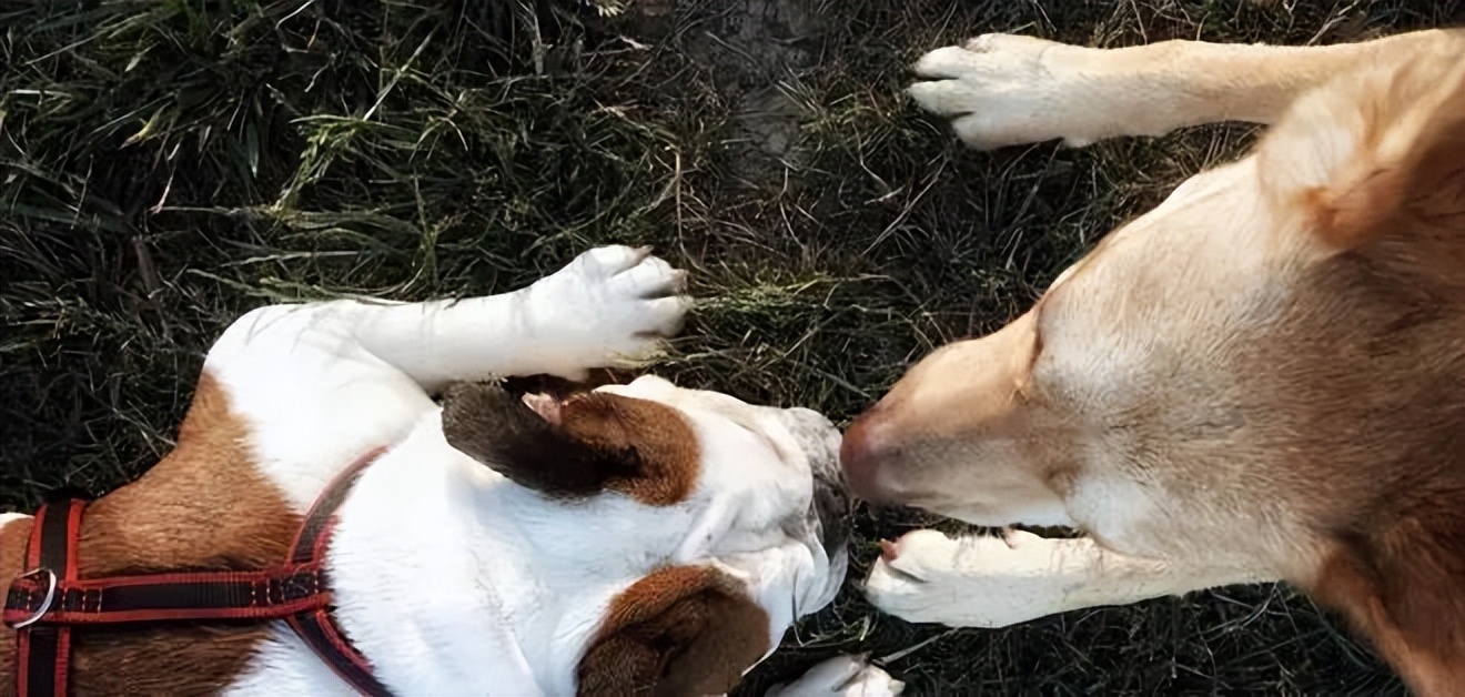 Between the quick fight and the lingering: revealing the ten before and ...