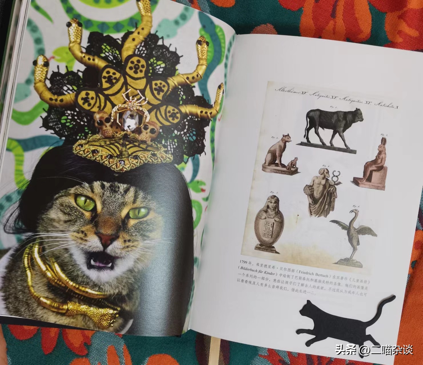 The history told by a cat is the lingering love and hatred between ...