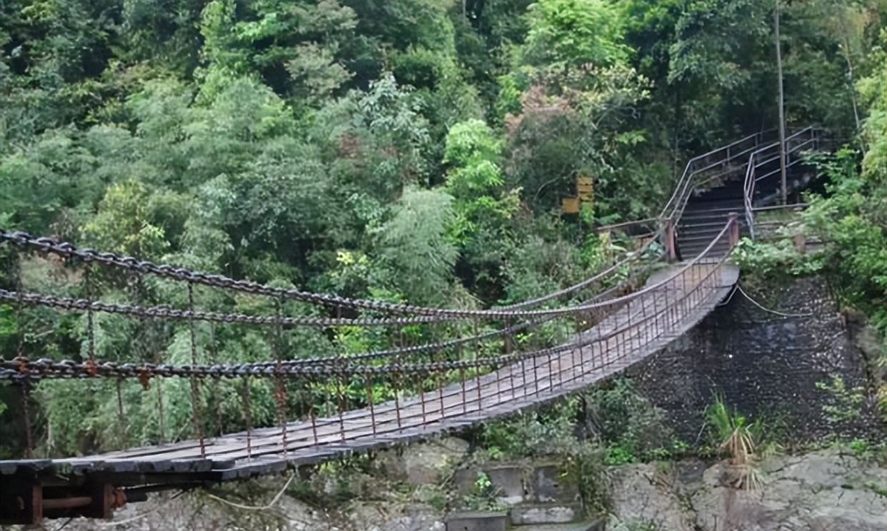 6000 hectares of "primitive" forest scenery, natural oxygen bar is here ...