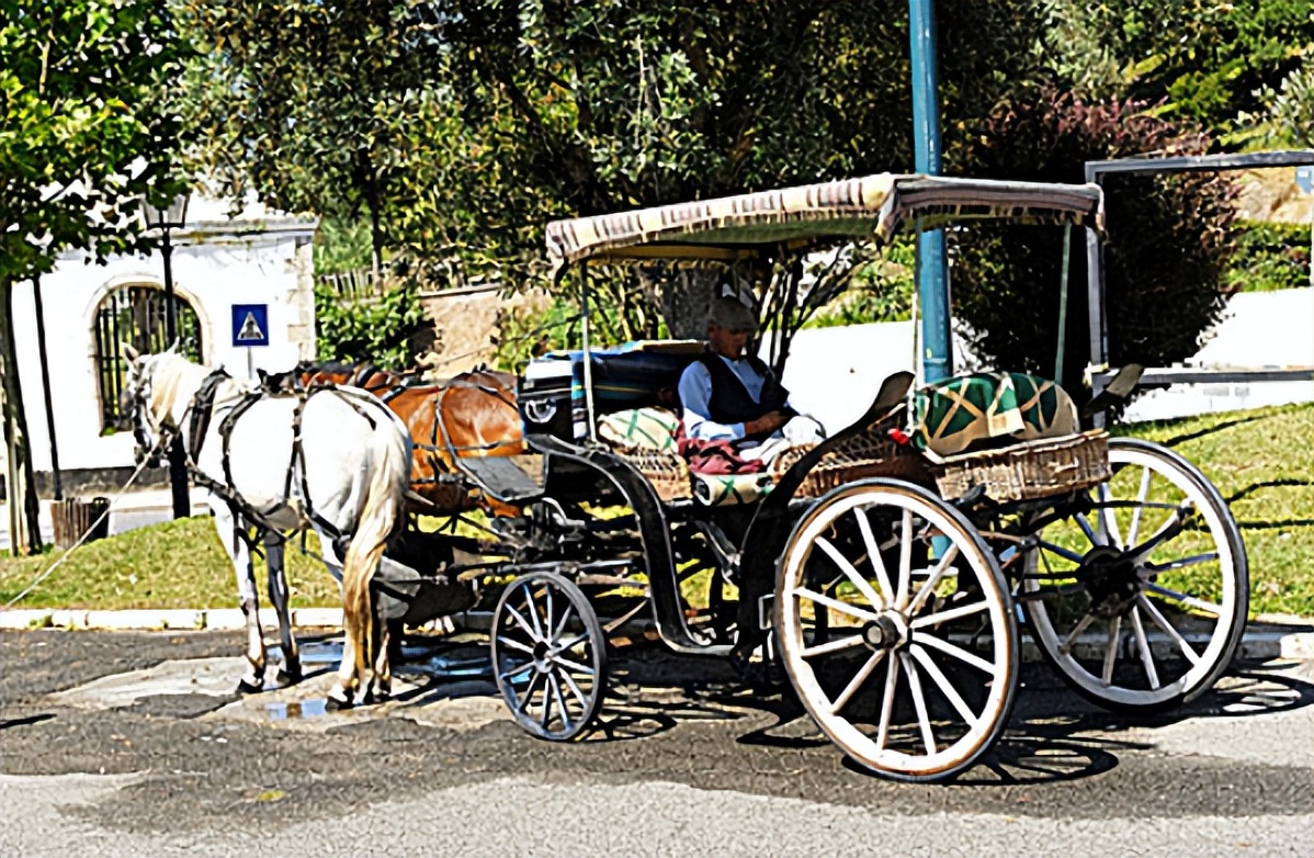 What was the military strategy of the Ostrogothic chariot in 516-538 ...