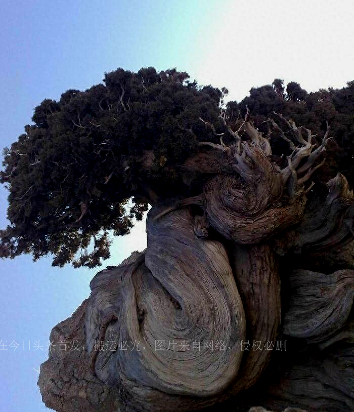 30 photos that haven't been seen for a long time, ancient Chinese ...