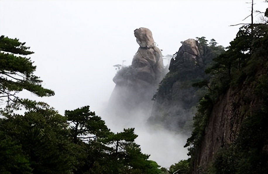 "Misty Poet" Shu Ting's "To Oak Tree" and "Goddess Peak", women should ...