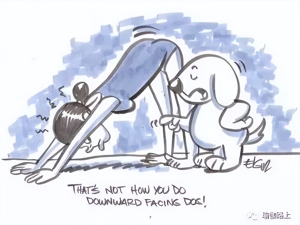 Yoga Downward Dog Protrudes Ribs With Serious Consequences - iNEWS