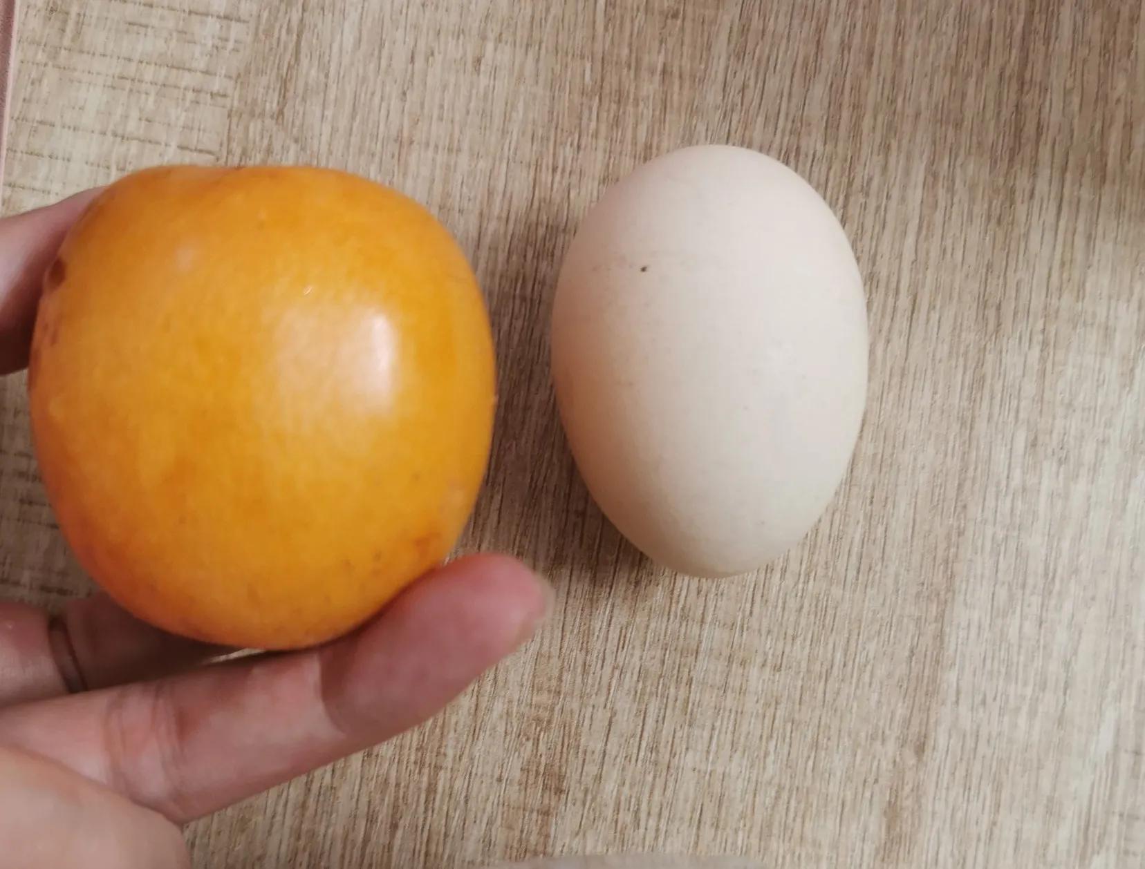 Loquat is in season, eat it! - iMedia