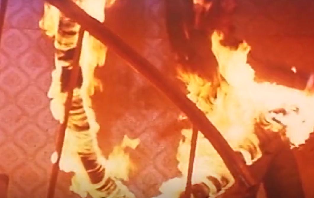 "Human-Snake Wars" 41 years ago, the story is bizarre and breaks ...