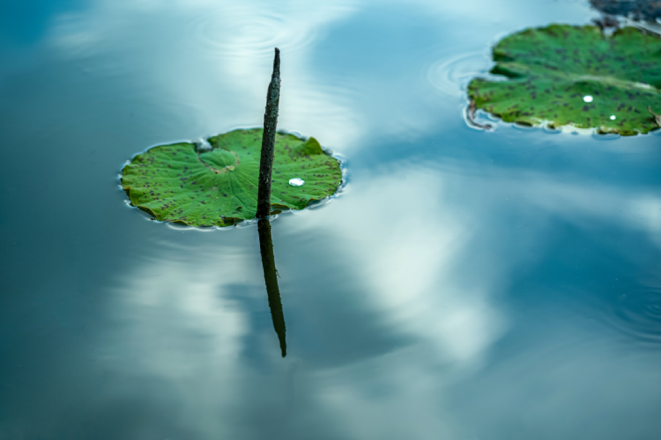 Getting rid of "weakness" and "sense of unworthiness" is an important ...