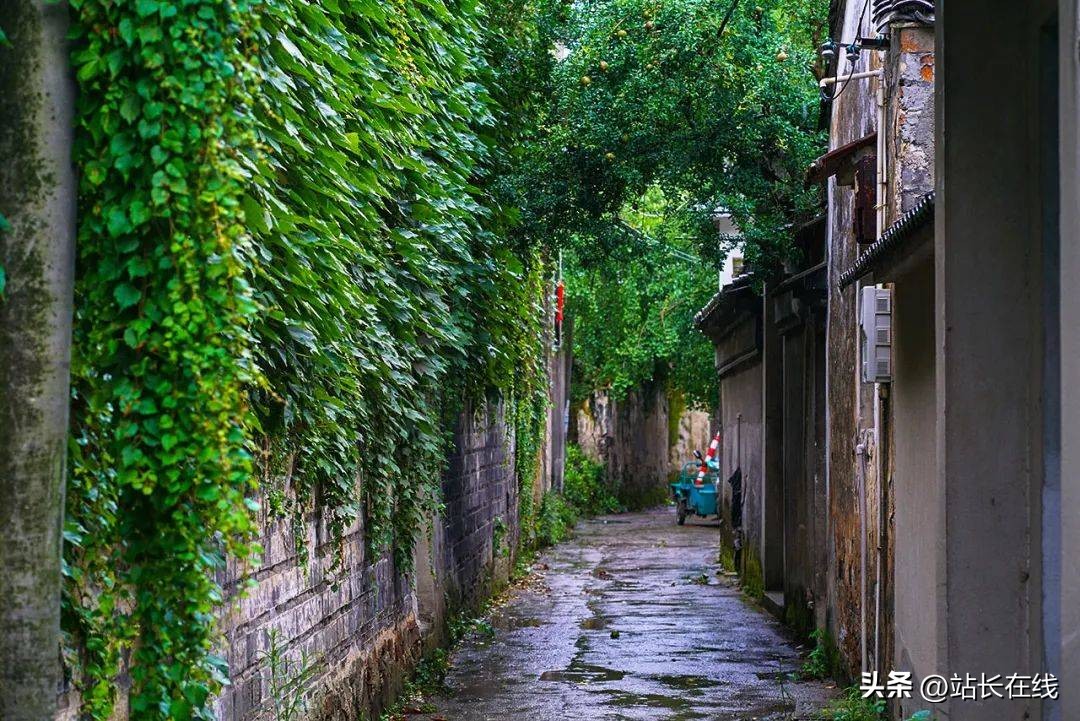 After exiting the "high temperature group chat", it is too suitable to ...