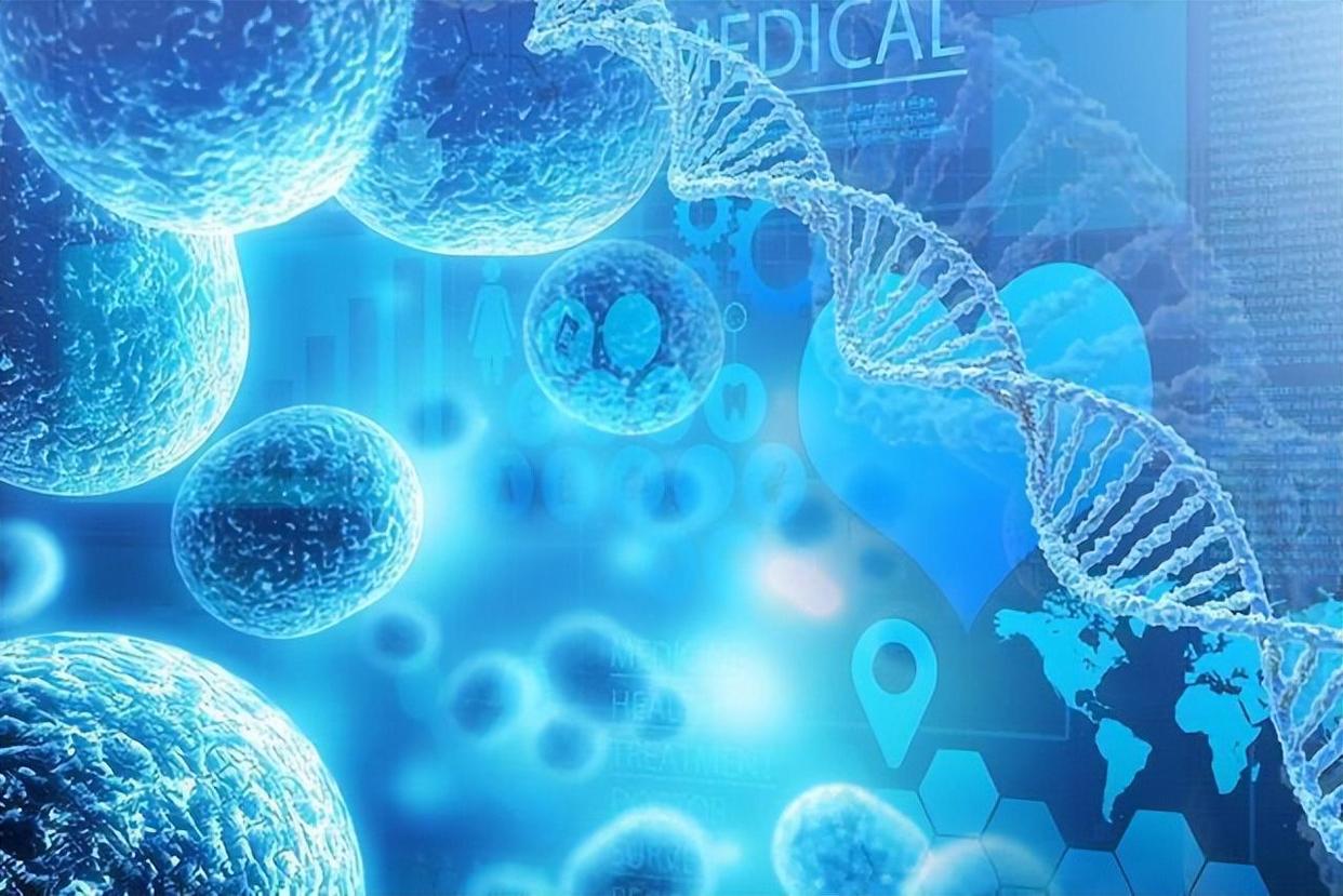 People with strong immunity generally have 6 major characteristics ...