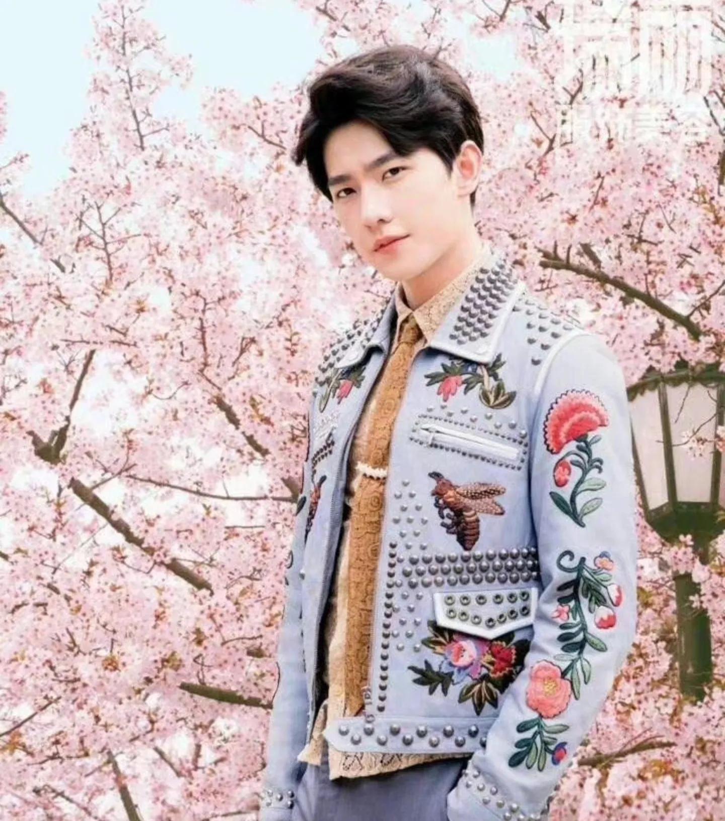 Luhan Yang Yang Yang Ying Ni Ni's early cherry blossom photo - iNEWS