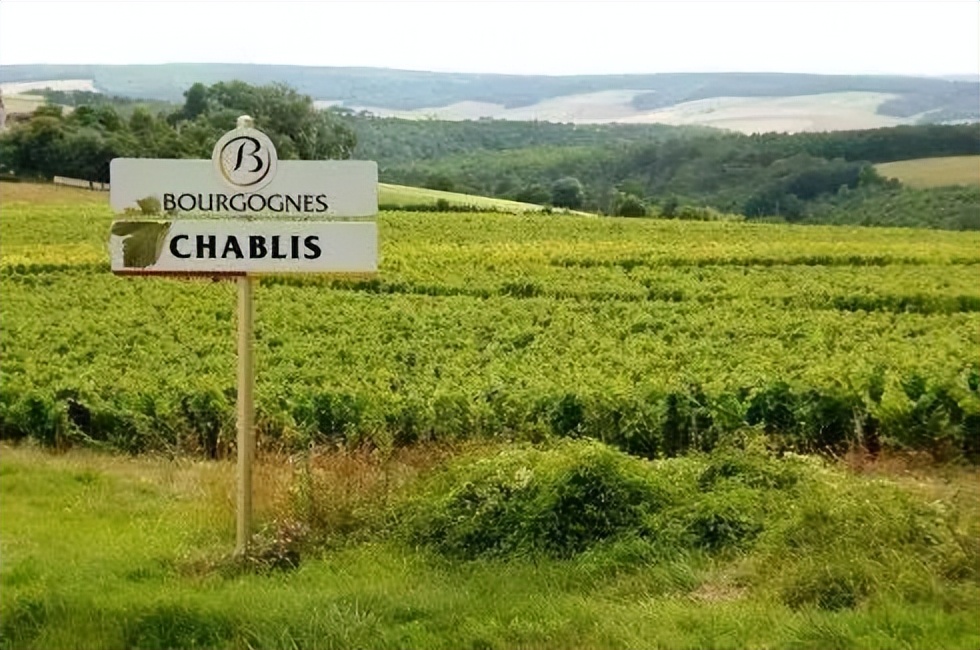 "French Estate" understands the "identity" of Burgundy wine ...