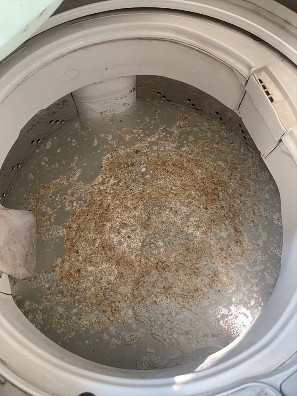 The inside of the washing machine is very dirty, sprinkle a handful ...